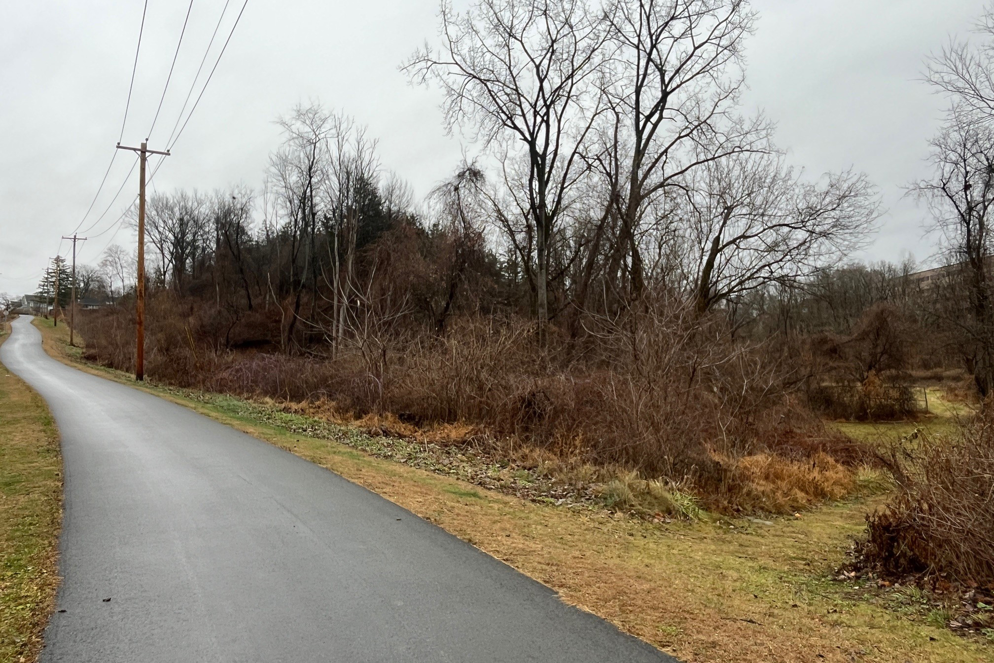 Hudson police dogs searched where Robert Coons remains found