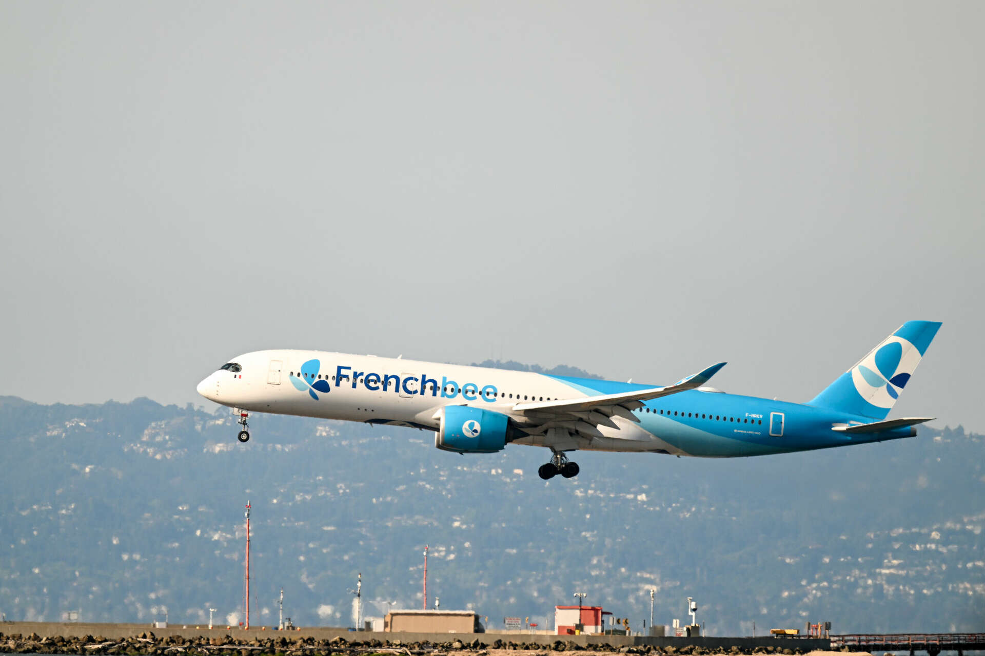 French Bee Incident