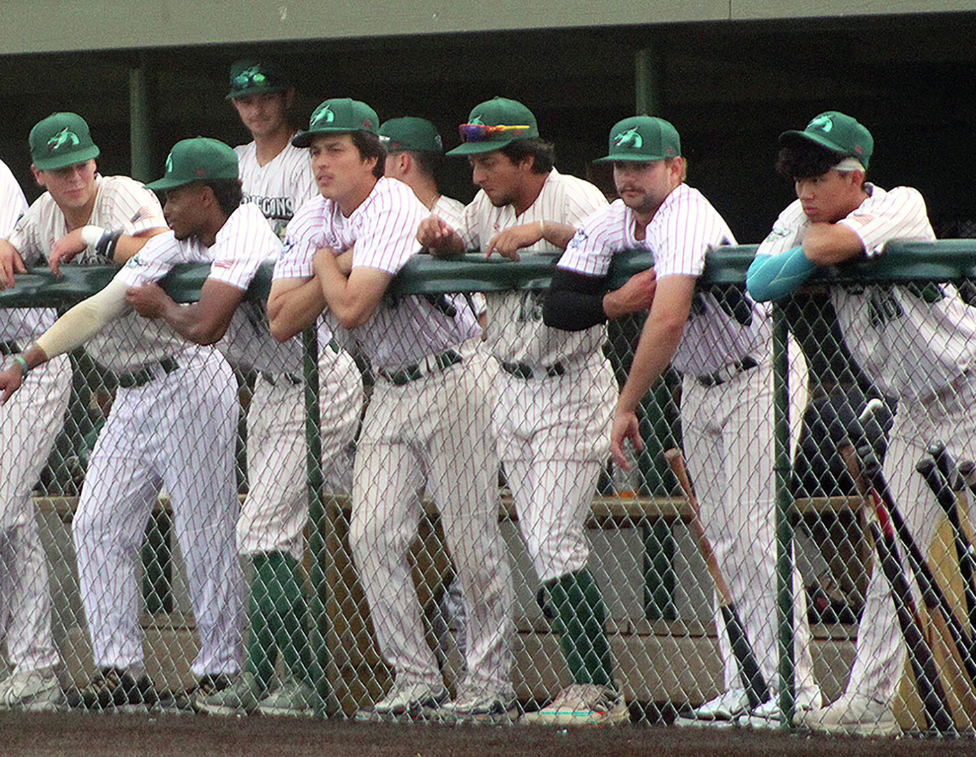 Alton River Dragons set for 2025 return to Lloyd Hopkins Field