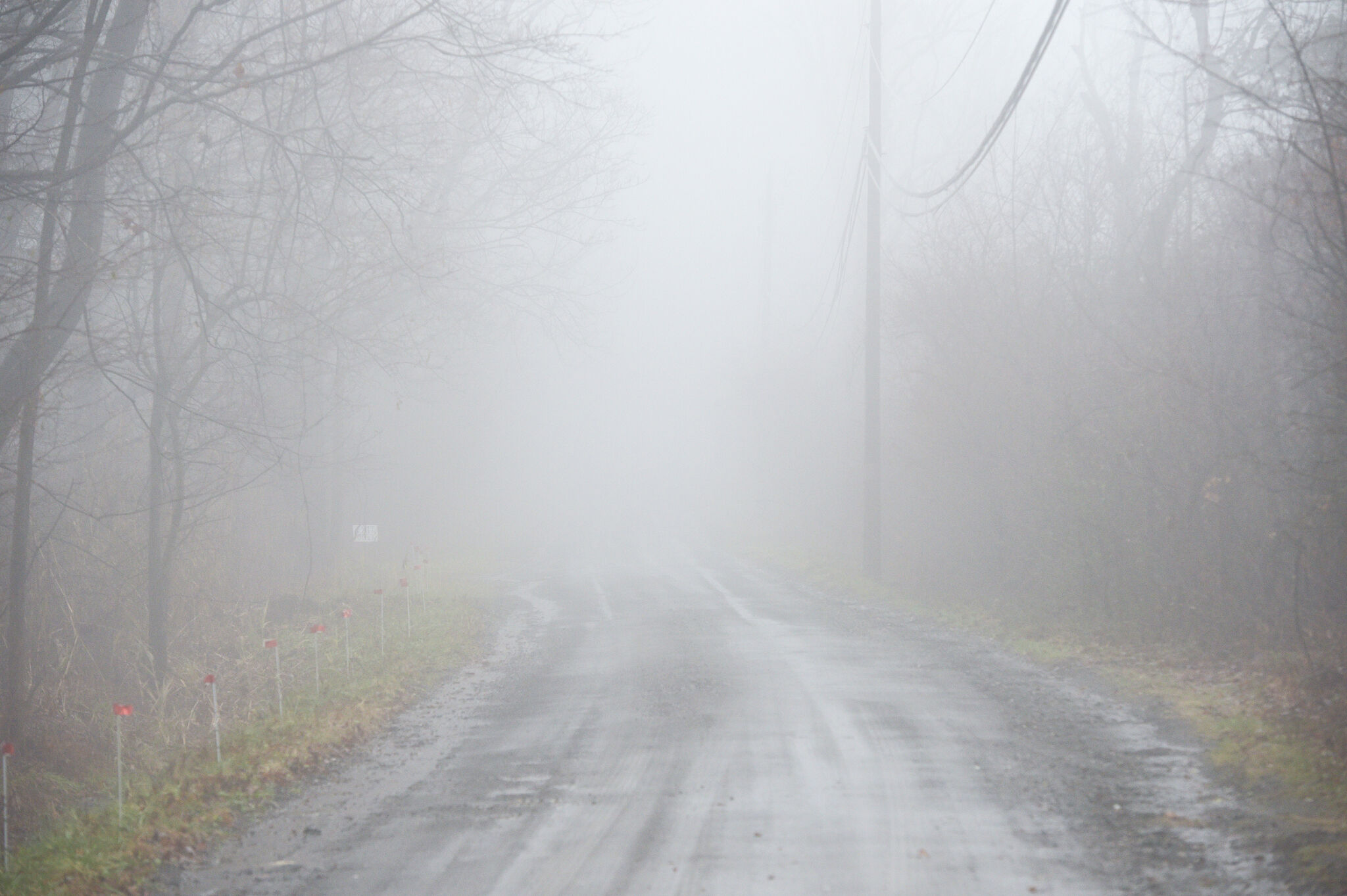 Dense fog, rain will descend on Connecticut early Sunday, NWS says