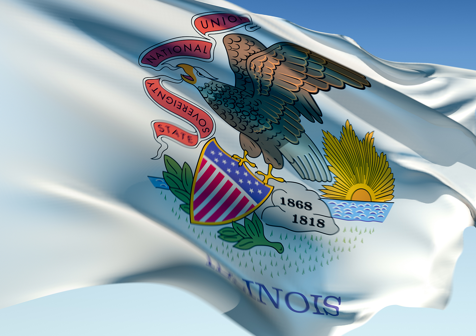 Illinois voters decide to keep existing state flag design