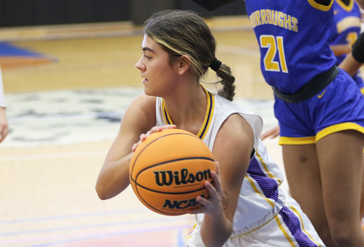 Illinois High School Girls Basketball State Polls (Dec. 11, 2024)
