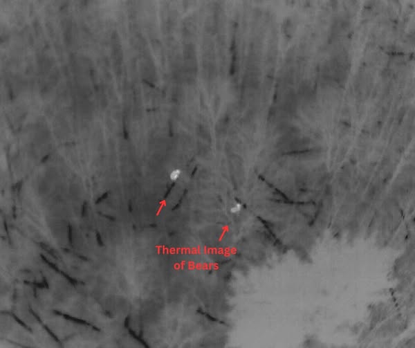 Police use of thermal imaging drone reveals bears in Watervliet