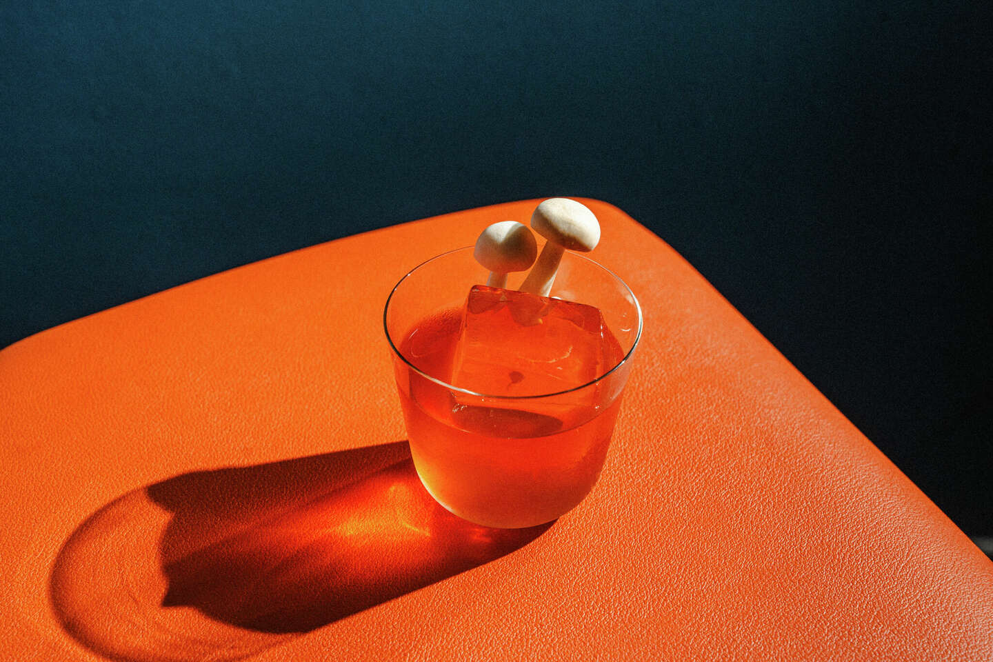 Bar Doko opens in Autry Park from duo behind Handies Douzo and Aiko