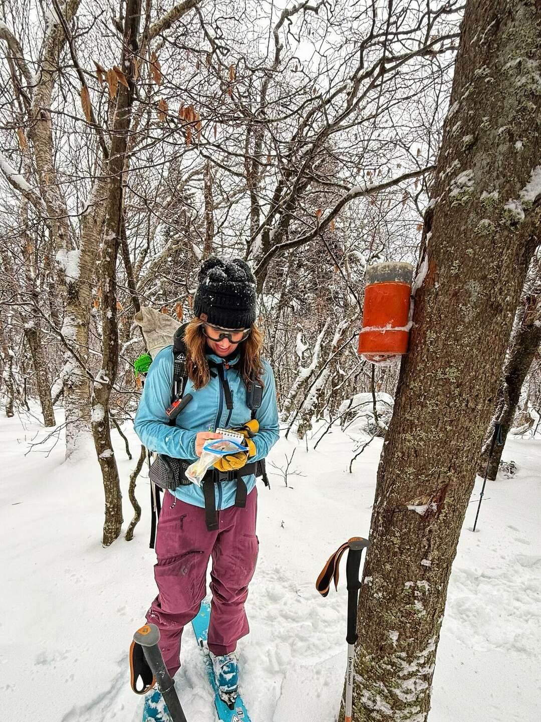 Julie McGuire skis down all 33 Catskill high peaks, a record