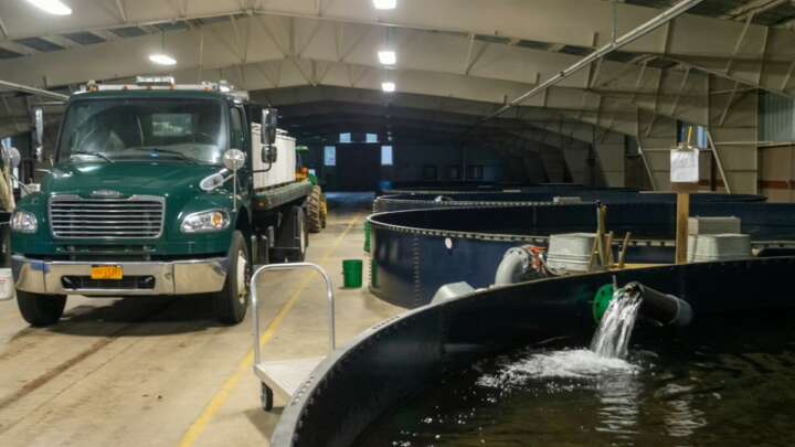 New York investing in its sprawling fish hatchery system
