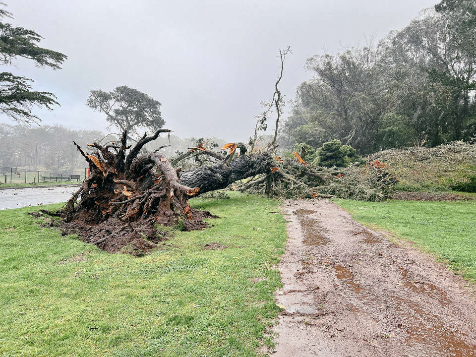 The 'hectic' chase to survey damage after SF's first tornado warning