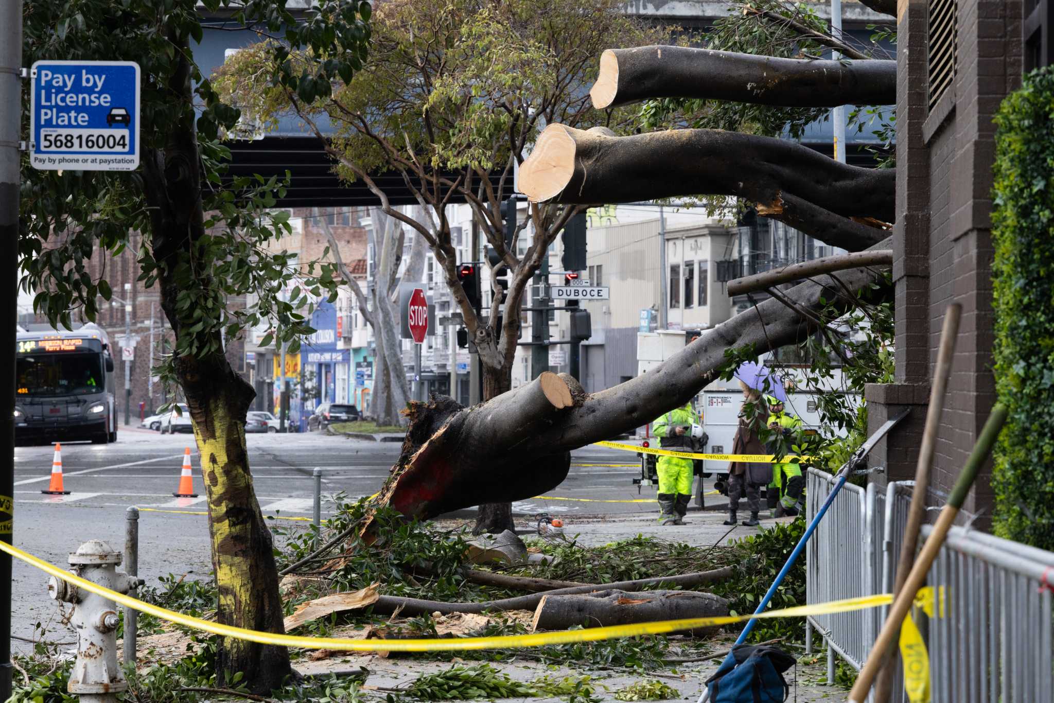 SF workers clear downed trees — Berkeley crews move wayward barge