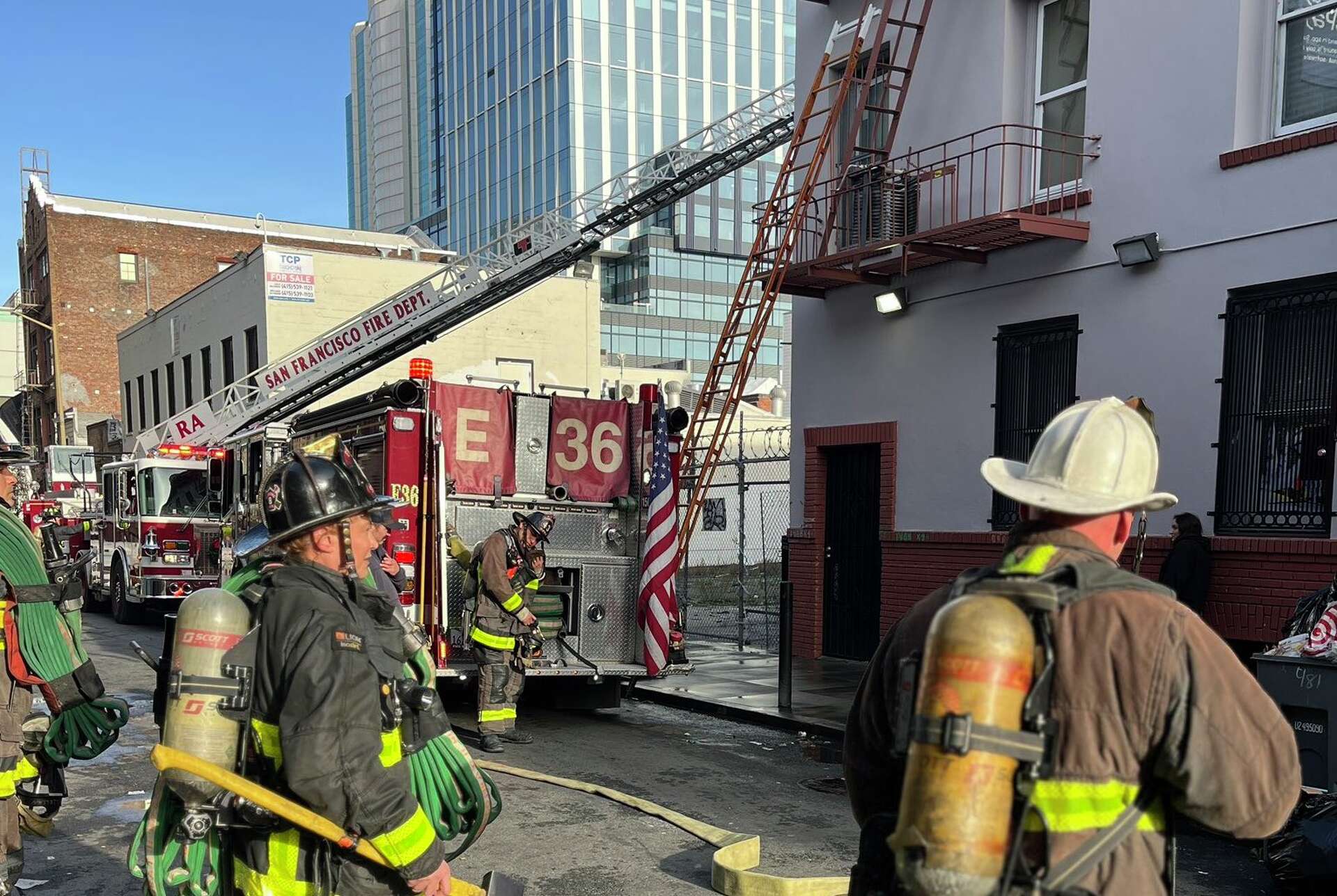 Two dogs rescued from San Francisco apartment fire