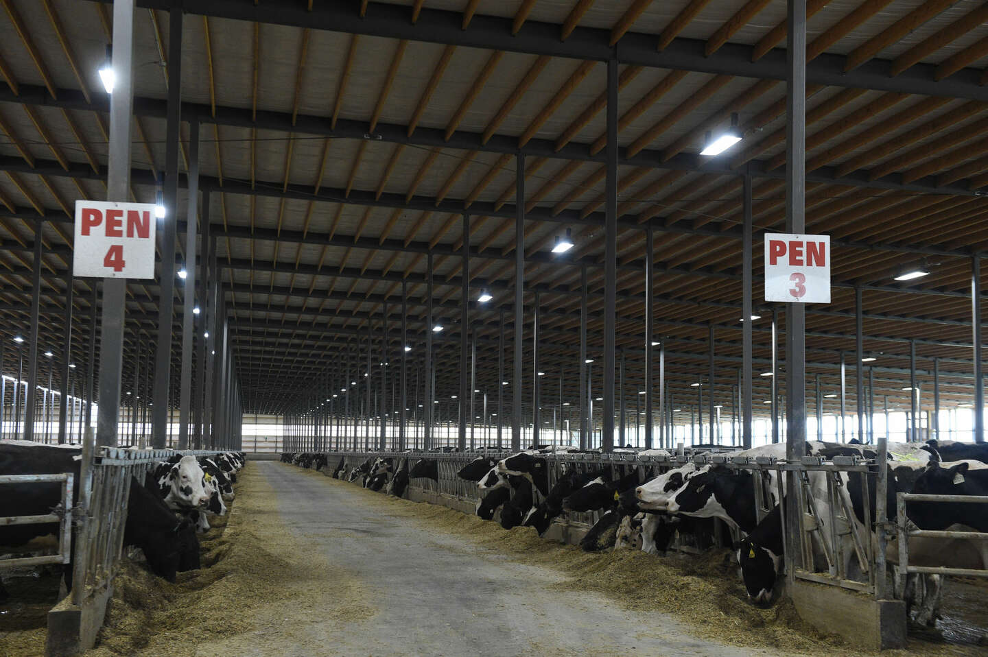 Ellington farm's manure lagoon plan takes hit by Somers panel