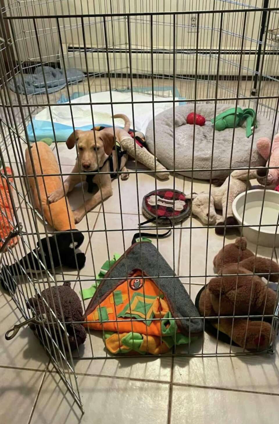 NTSB report finds Seuk Kim hit turbulence in Catskills before crash