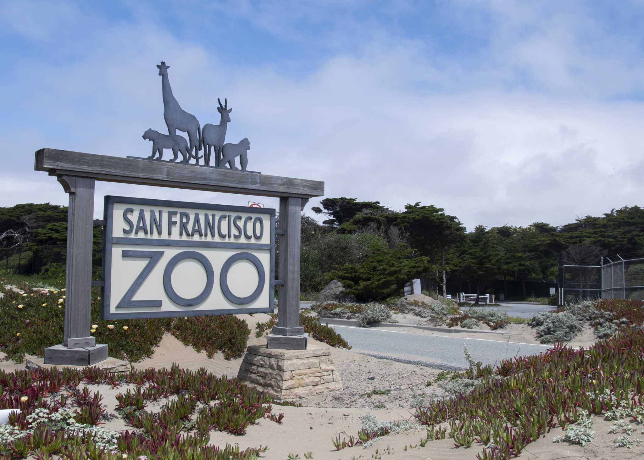 San Francisco Zoo slams animal welfare report from city commission