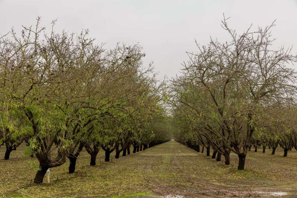 California’s Merced River dried up below Yosemite. Now we know why