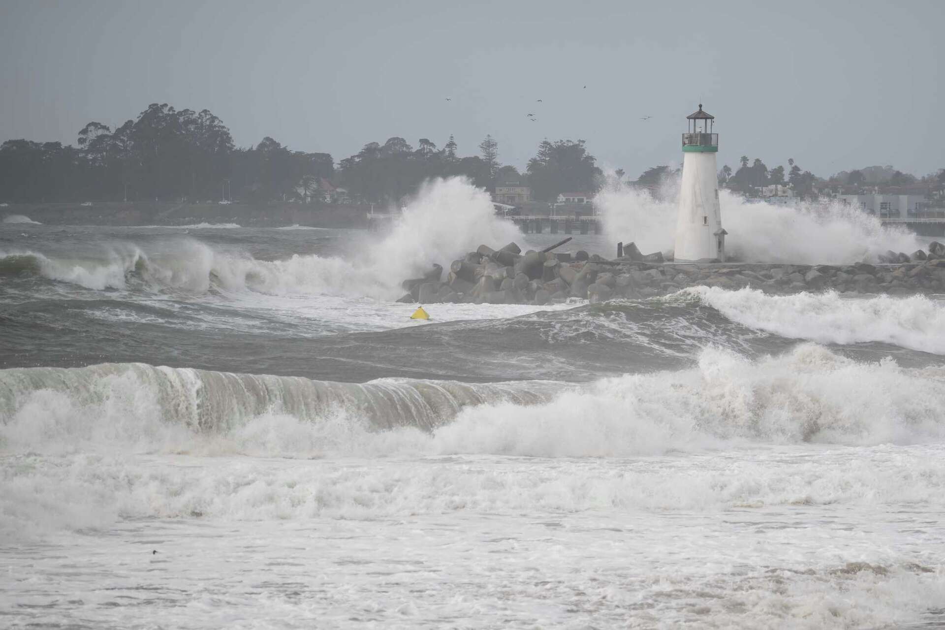 How a distant bomb cyclone fueled California’s massive waves