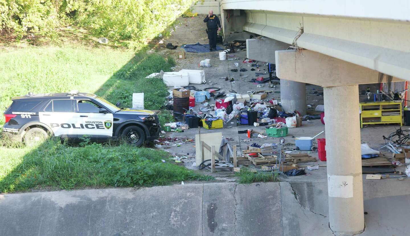 Whitmire promise to address homelessness brings some skepticism