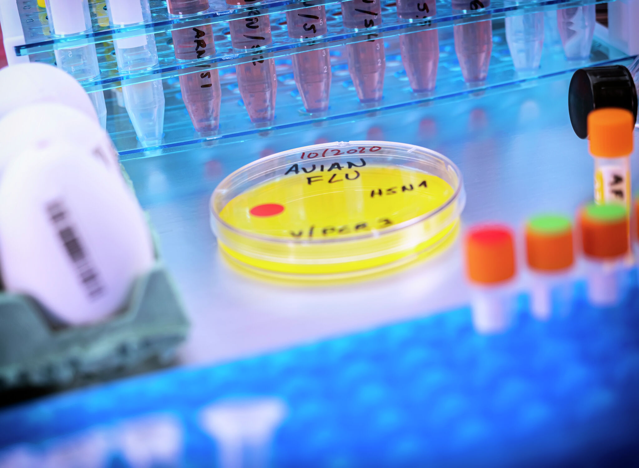 'Concerning' bird flu mutation found in Louisiana patient