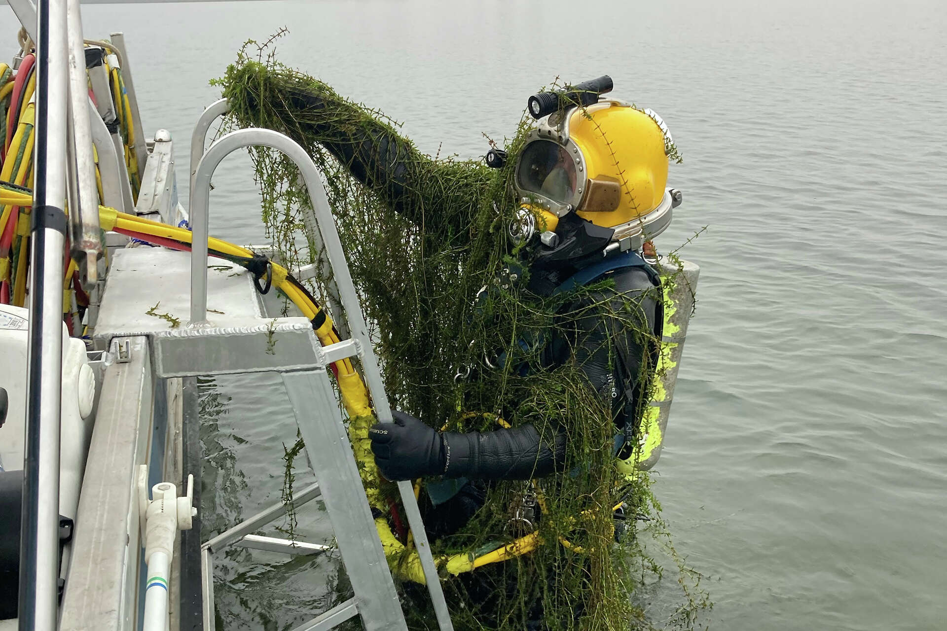 Second body recovered, ending search for missing California brothers