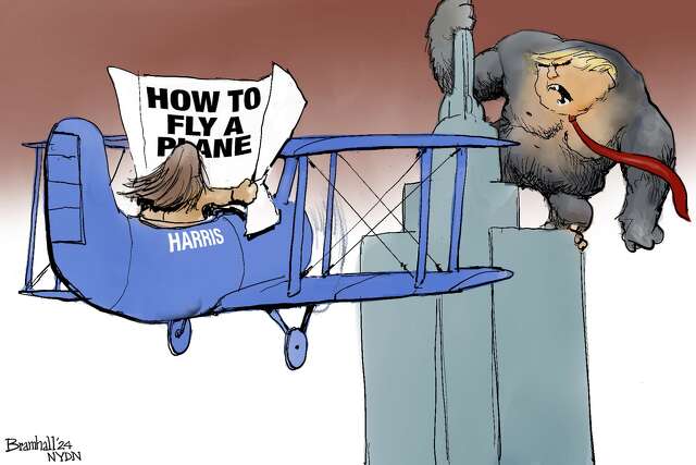 Opinion: The best of 2024 political cartoons