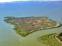 Private Bay Area island popular with kiteboarders up for auction