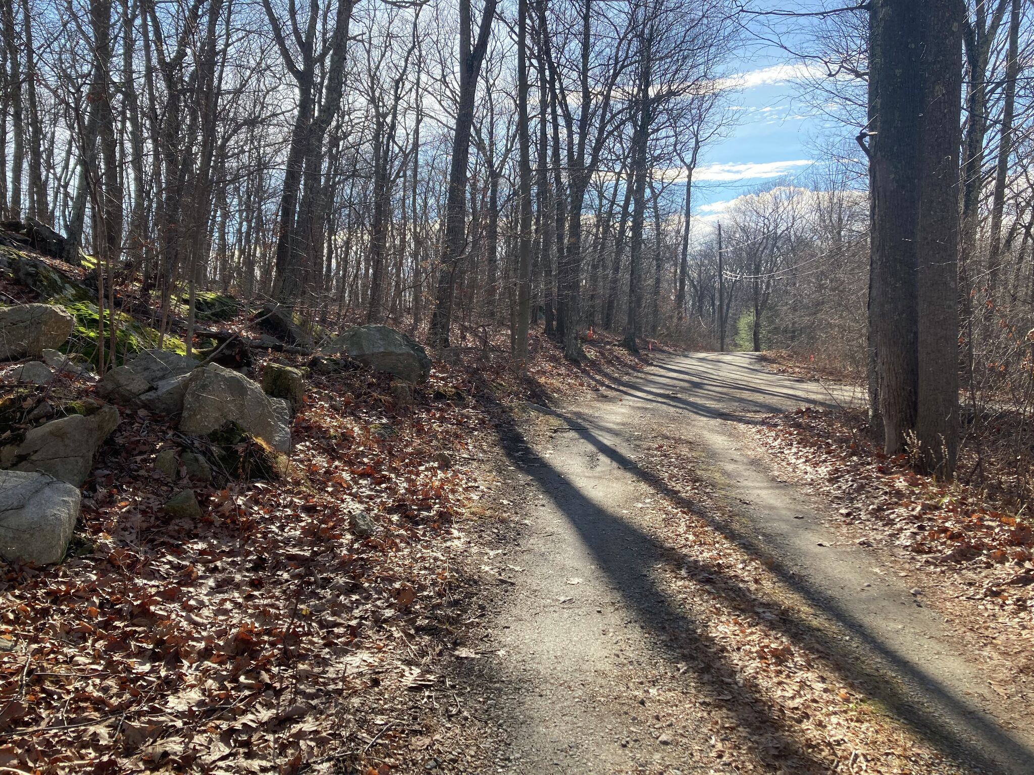 Newtown neighbor ‘heartbroken’ over homes OK'd in Sandy Hook forest