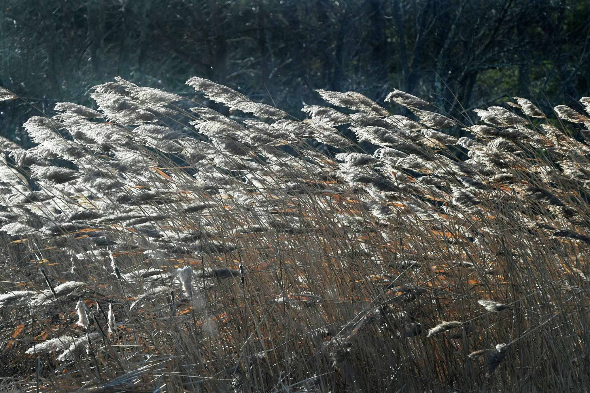 Power mostly restored in Connecticut as heavy winds rock state