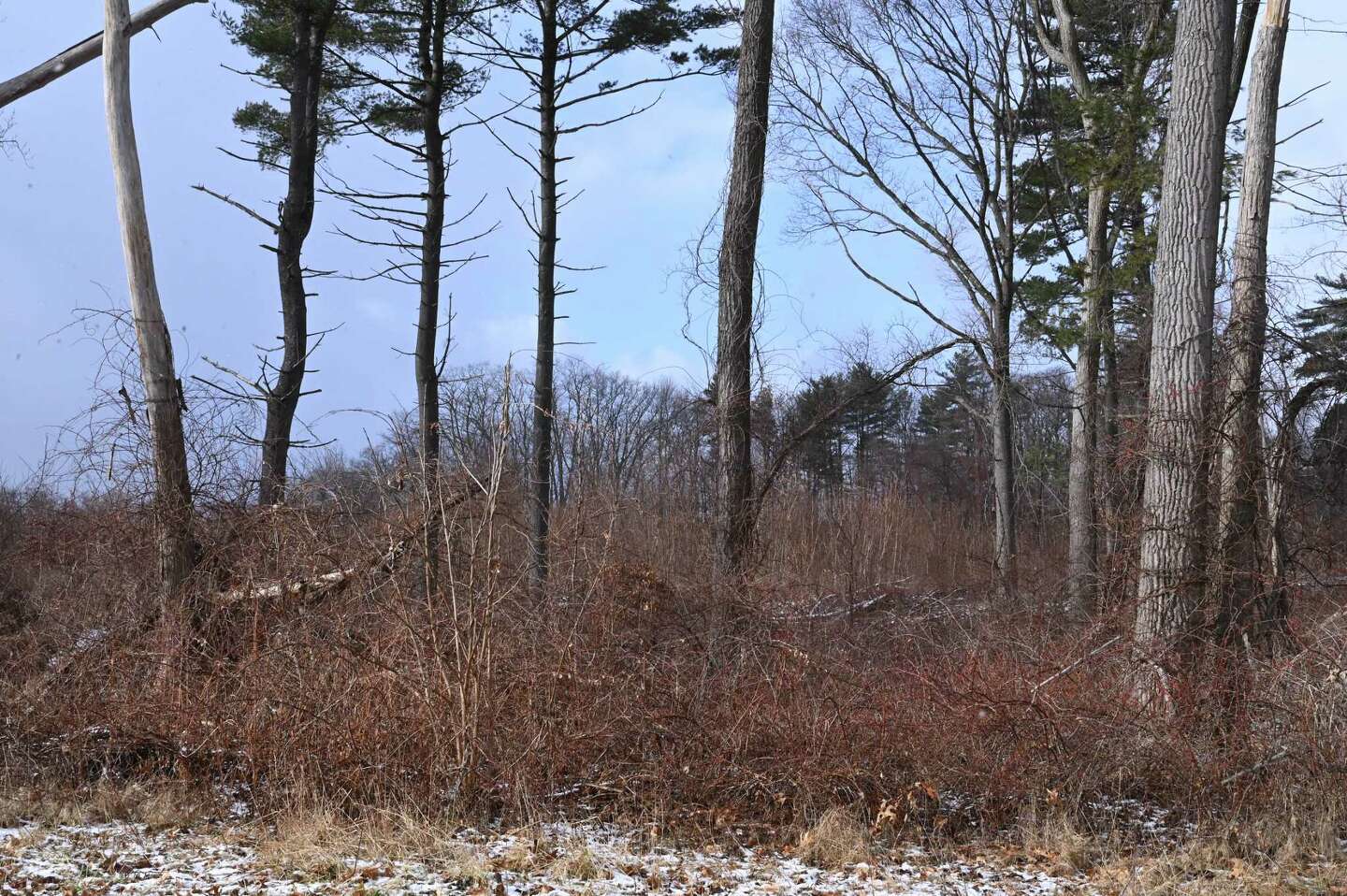 Costco moving forward with plans to build Guilderland location Costco moving forward with plans to build Guilderland location