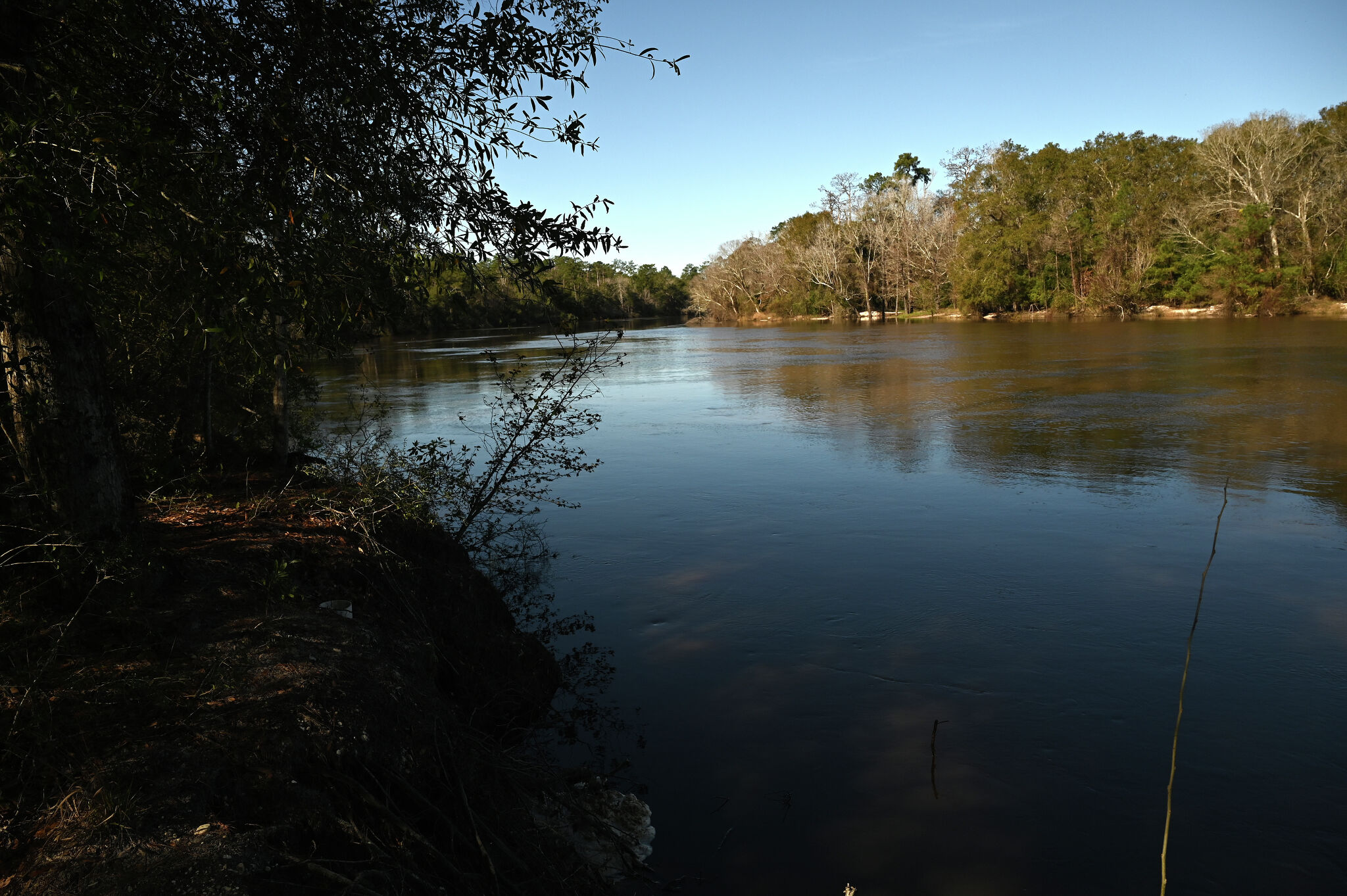 CJ Gunn's 22 help DePaul down Xavier 86-77