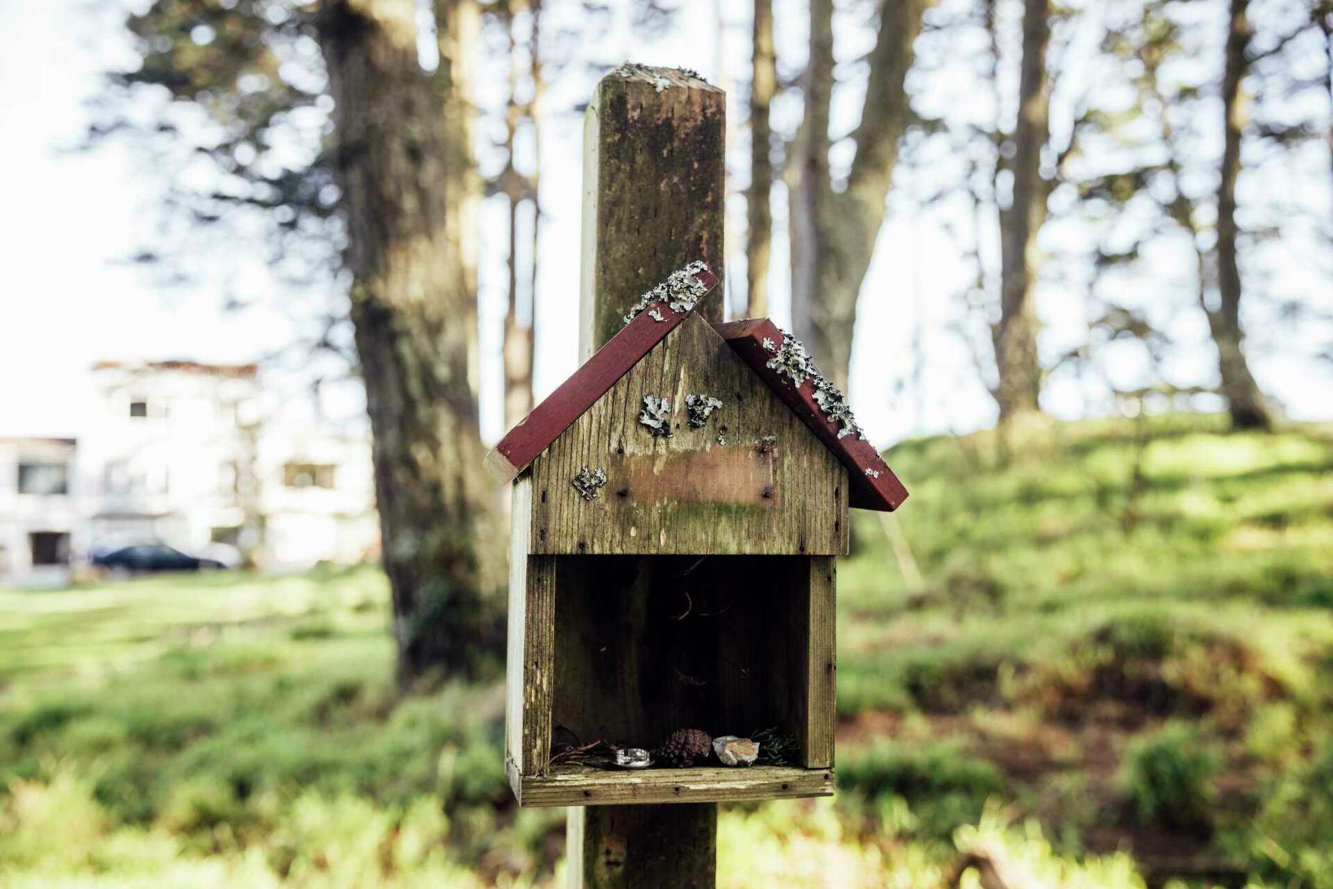 Golden Gate Heights Park in San Francisco's Sunset District is a gem