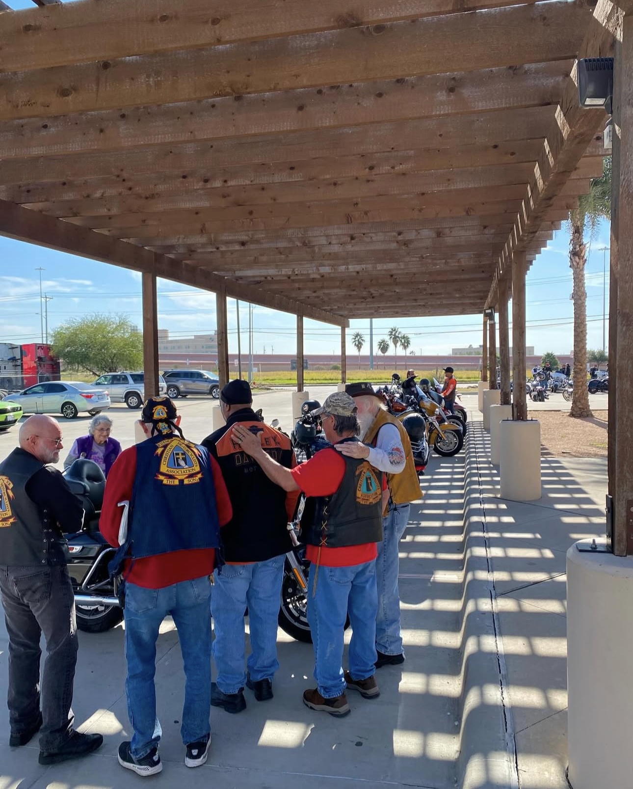 Make a vision board, help stray cats with Best Friends for Life