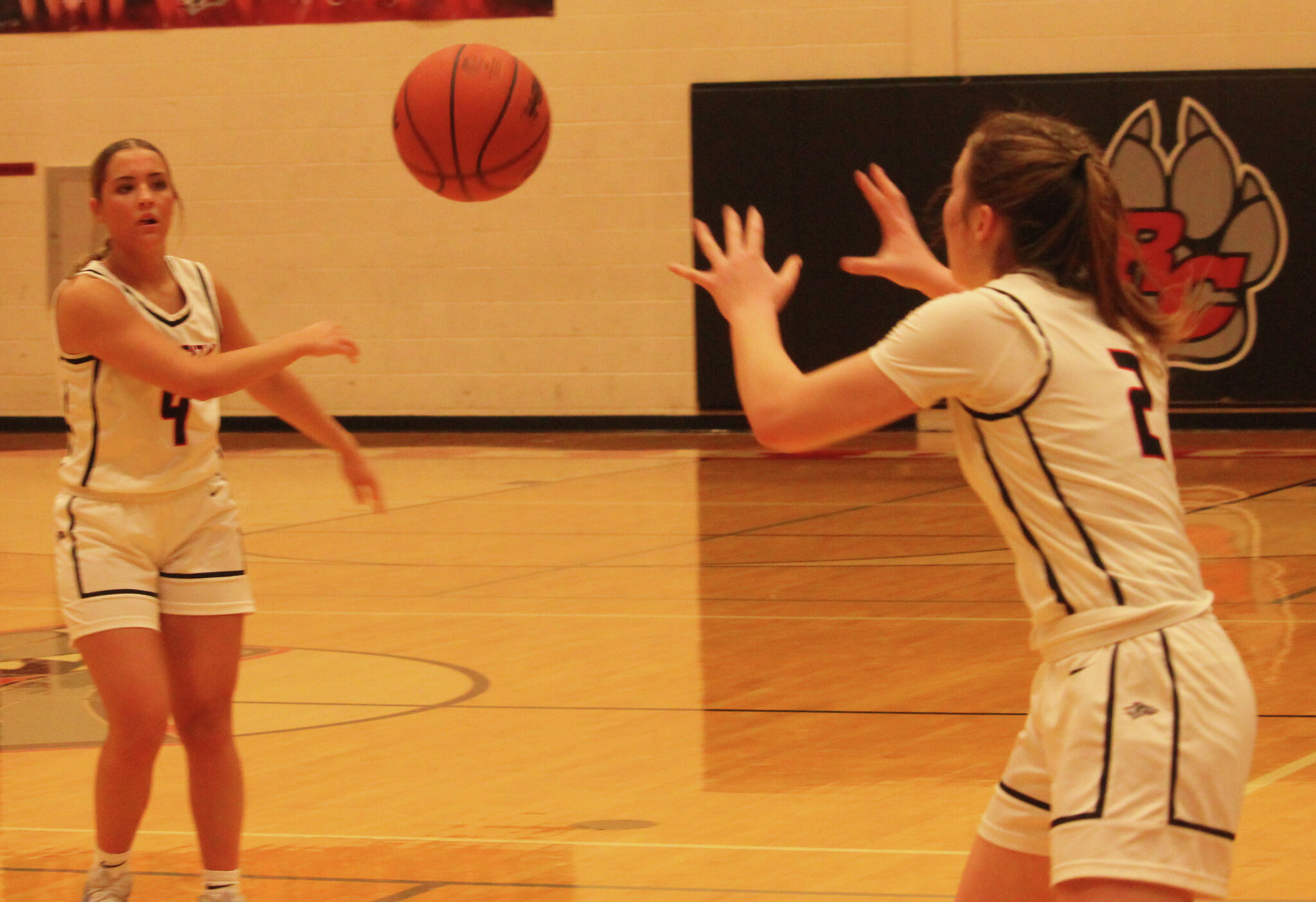 Reed City basketball teams fall tournament action