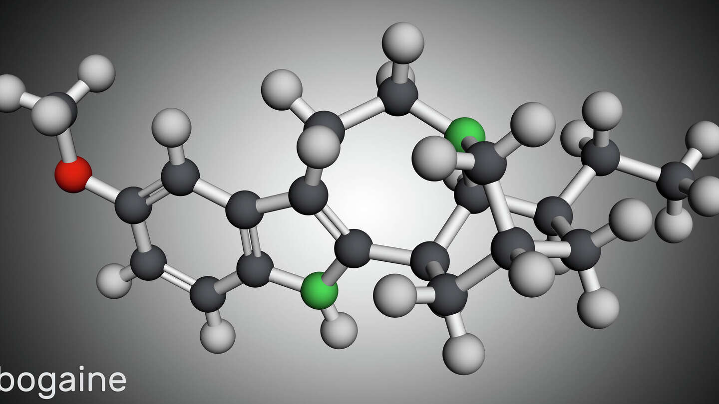 Rick Perry touts illegal psychedelic drug to Joe Rogan