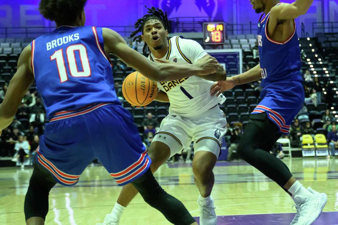 UAlbany Great Danes