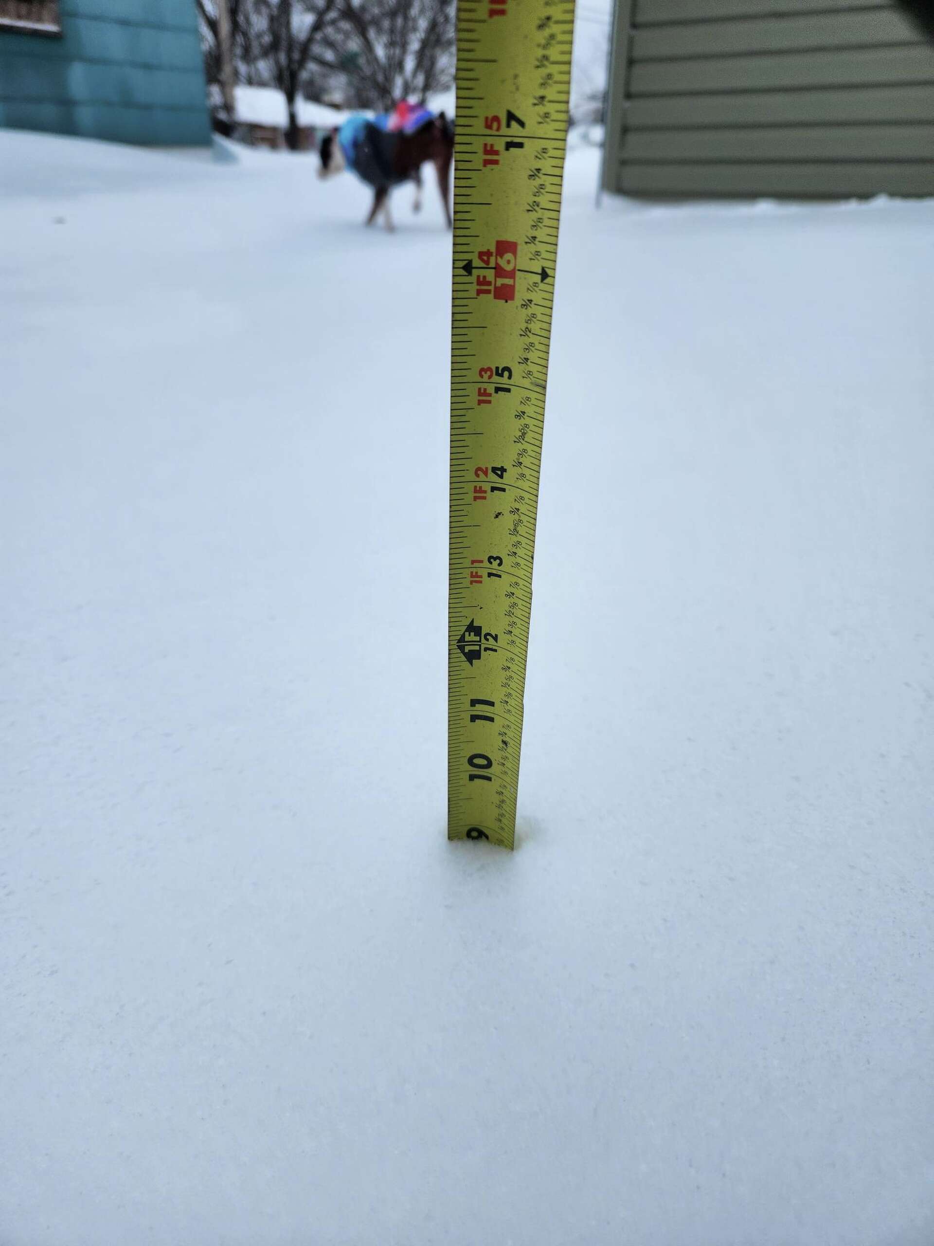 Madison County IL received up to 7 inches of snow