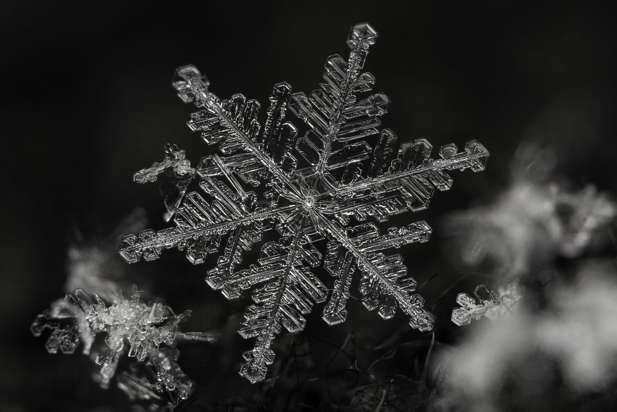 Weather expert explains freezing rain, sleet, thundersnow