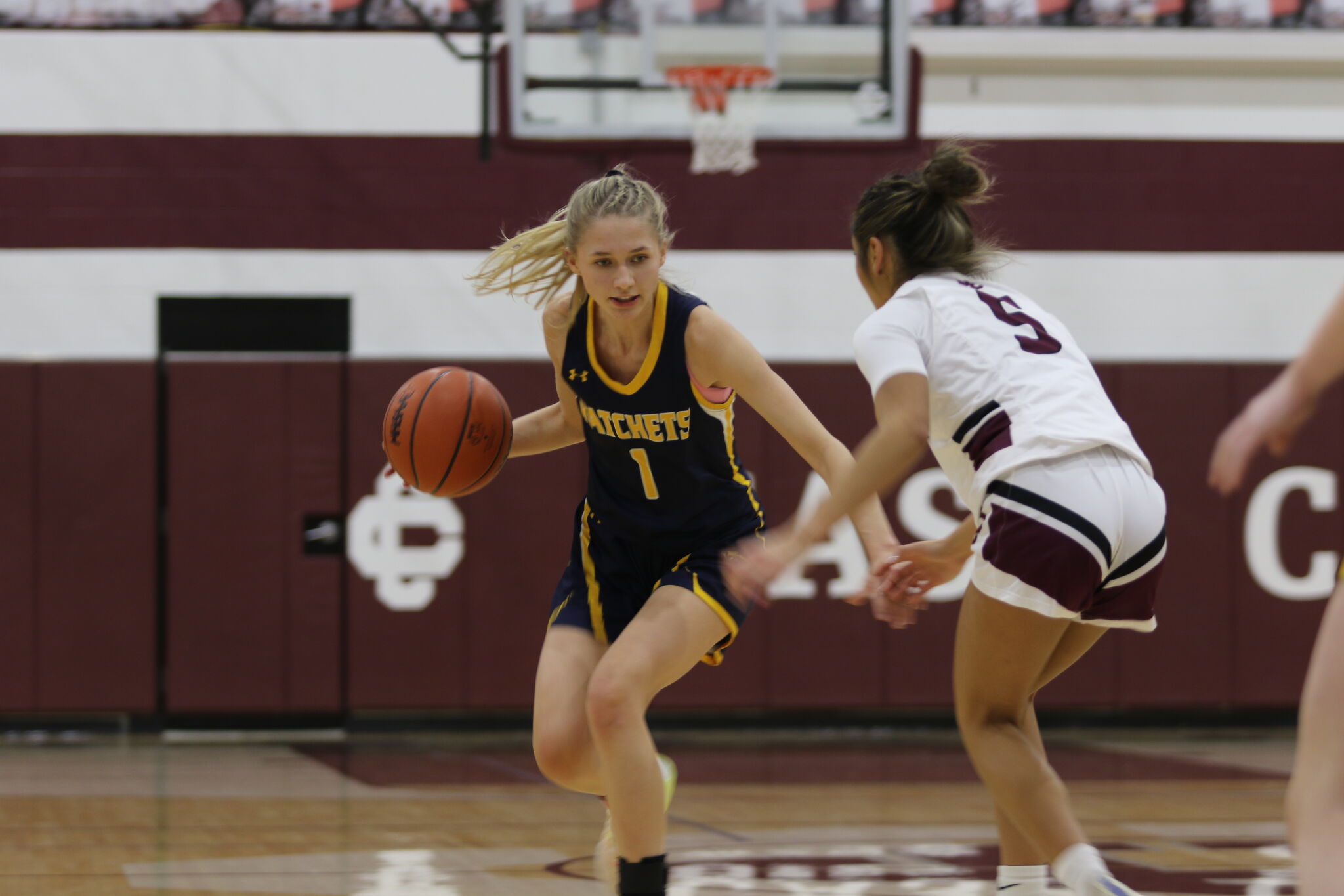 Thumb area basketball final scores from Tuesday, Jan. 21