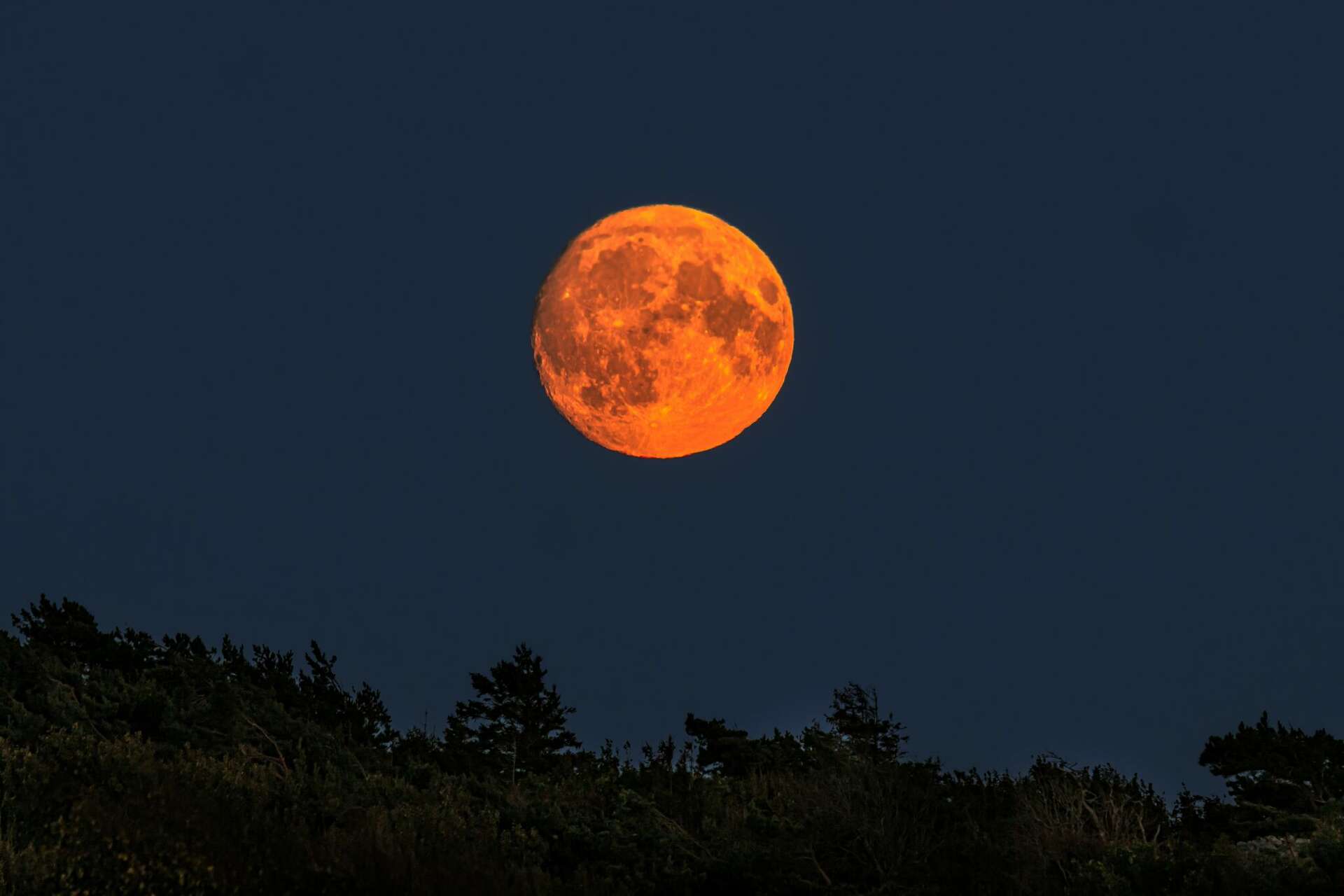 Wolf moon to occult Mars: First full moon of 2025 peaks Monday