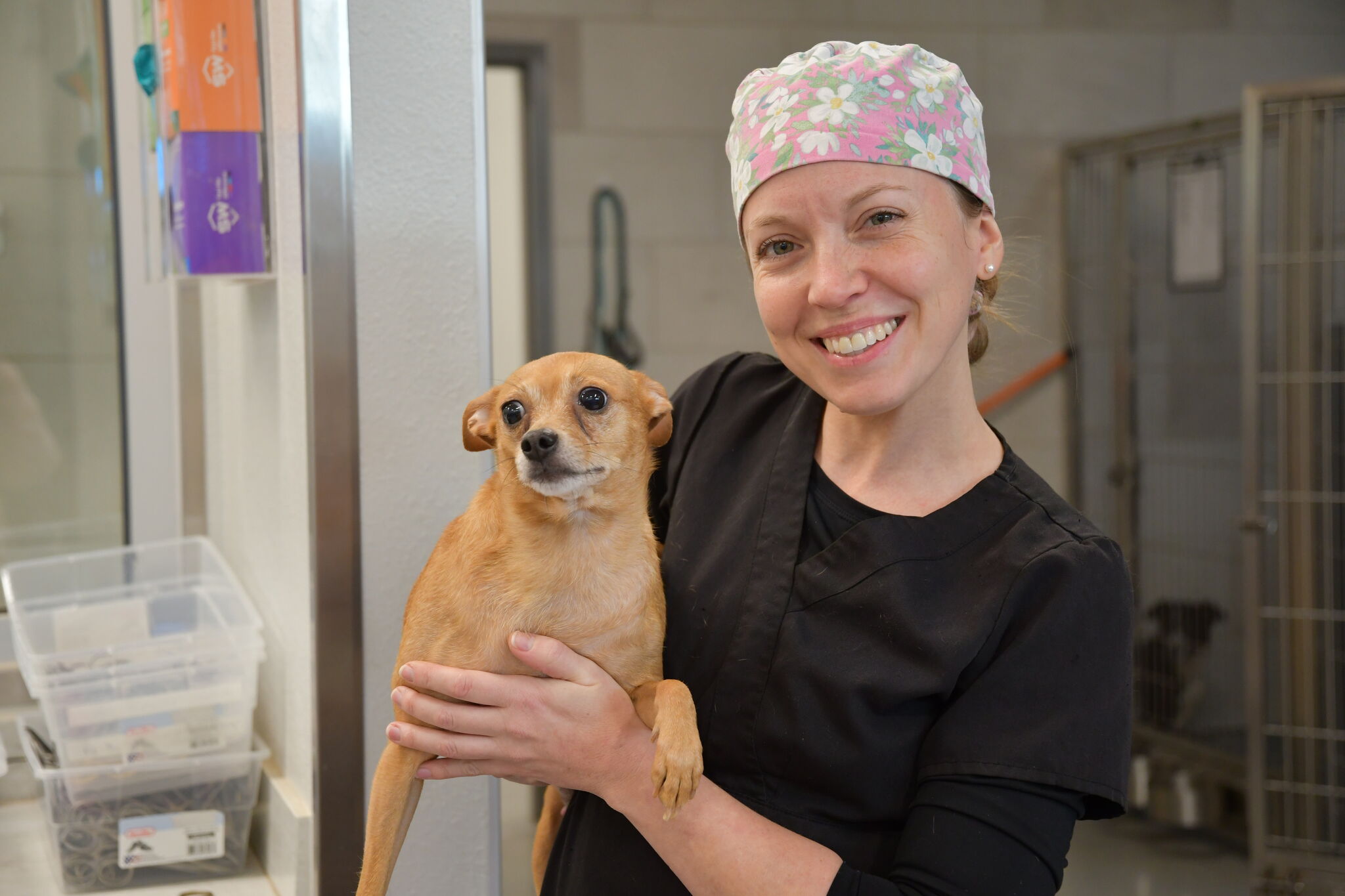 Dr. Amy Lowe joins Midland Animal Services as full-time vet