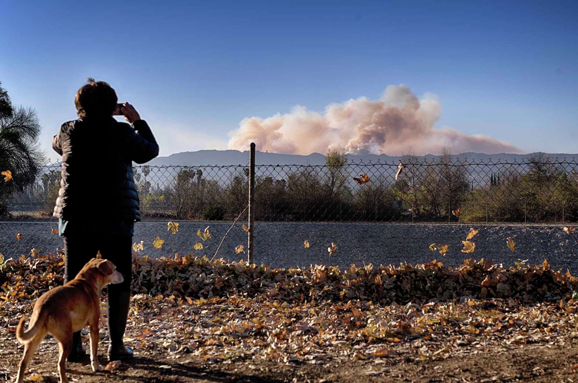 L.A. wildfires: Brentwood, Encino evacuated as Palisades Fire shifts