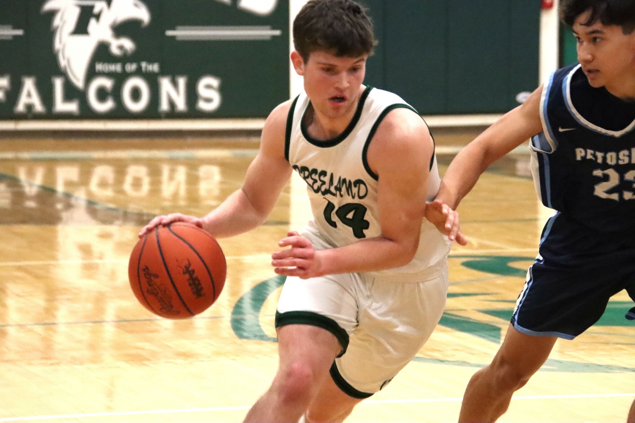 Freeland boys dominate Petoskey