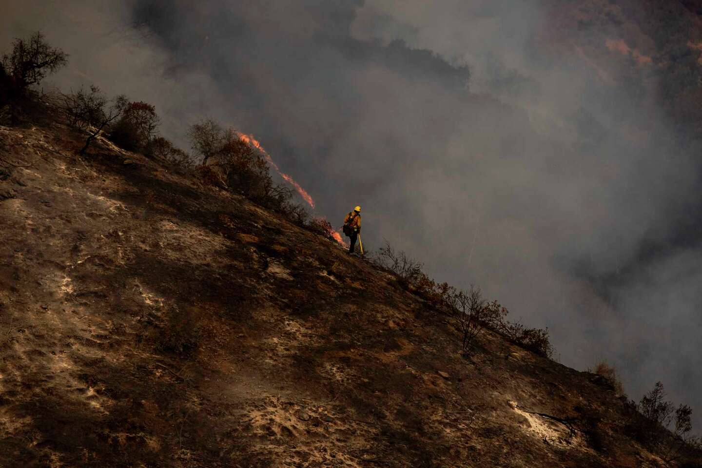L.A. wildfires: Brentwood, Encino evacuated as Palisades Fire shifts