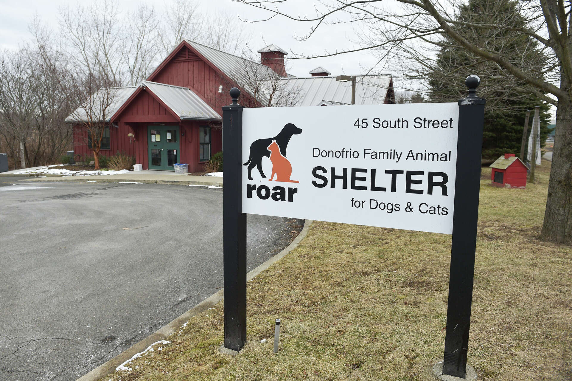 Ridgefield nonprofit that cares for dogs and cats celebrates 25 years