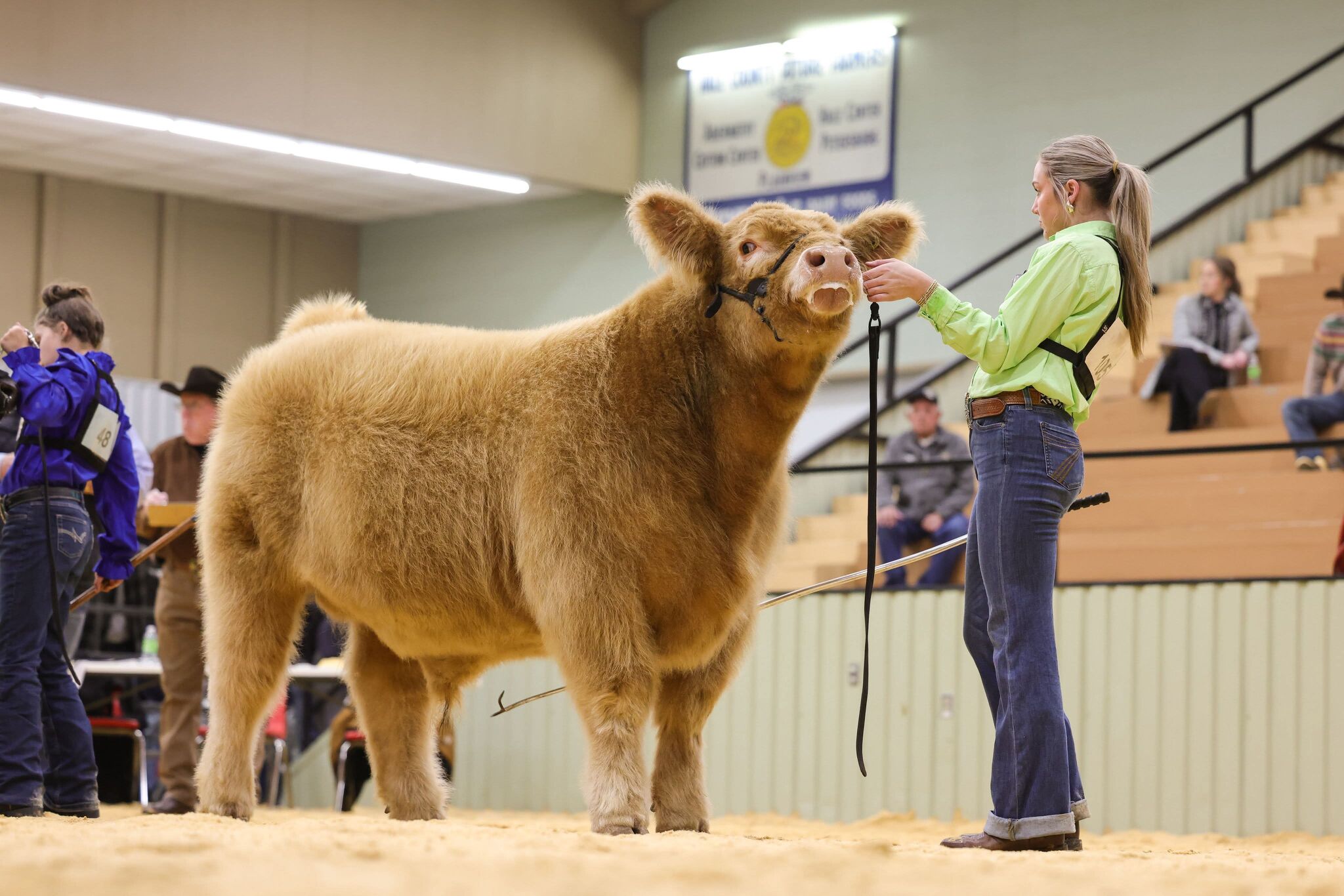 Here's how Plainview FFA students did at this year's stock show