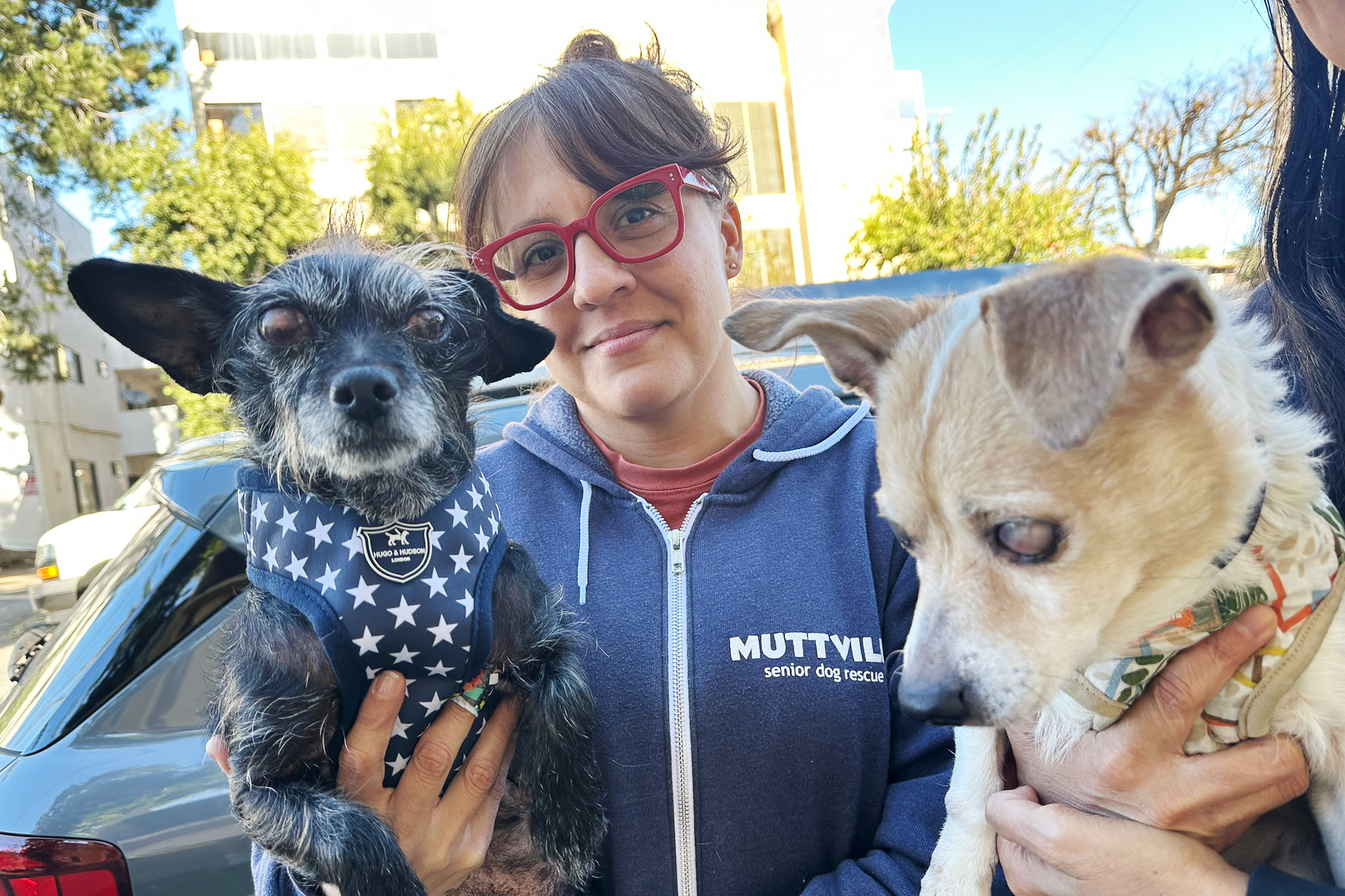 'No weekends allowed': SF shelters overwhelmed with dogs, donations