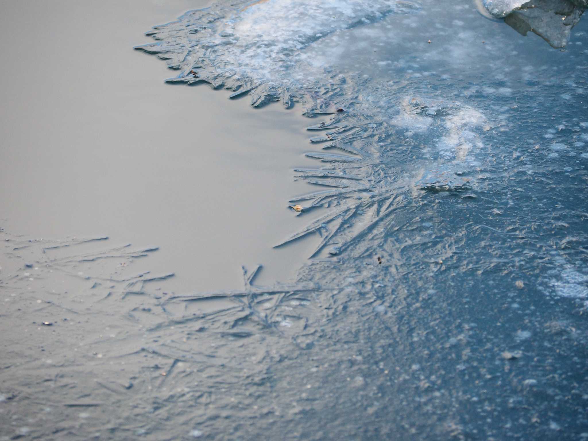 CT enacts cold weather protocol for next week amid frigid temps