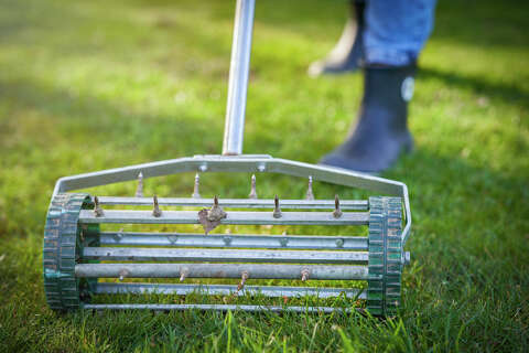 How ball moss, fallen leaves, aeration affect San Antonio lawns