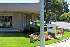 Bay Area biotech firm once worth billions guts staff with 73% layoff