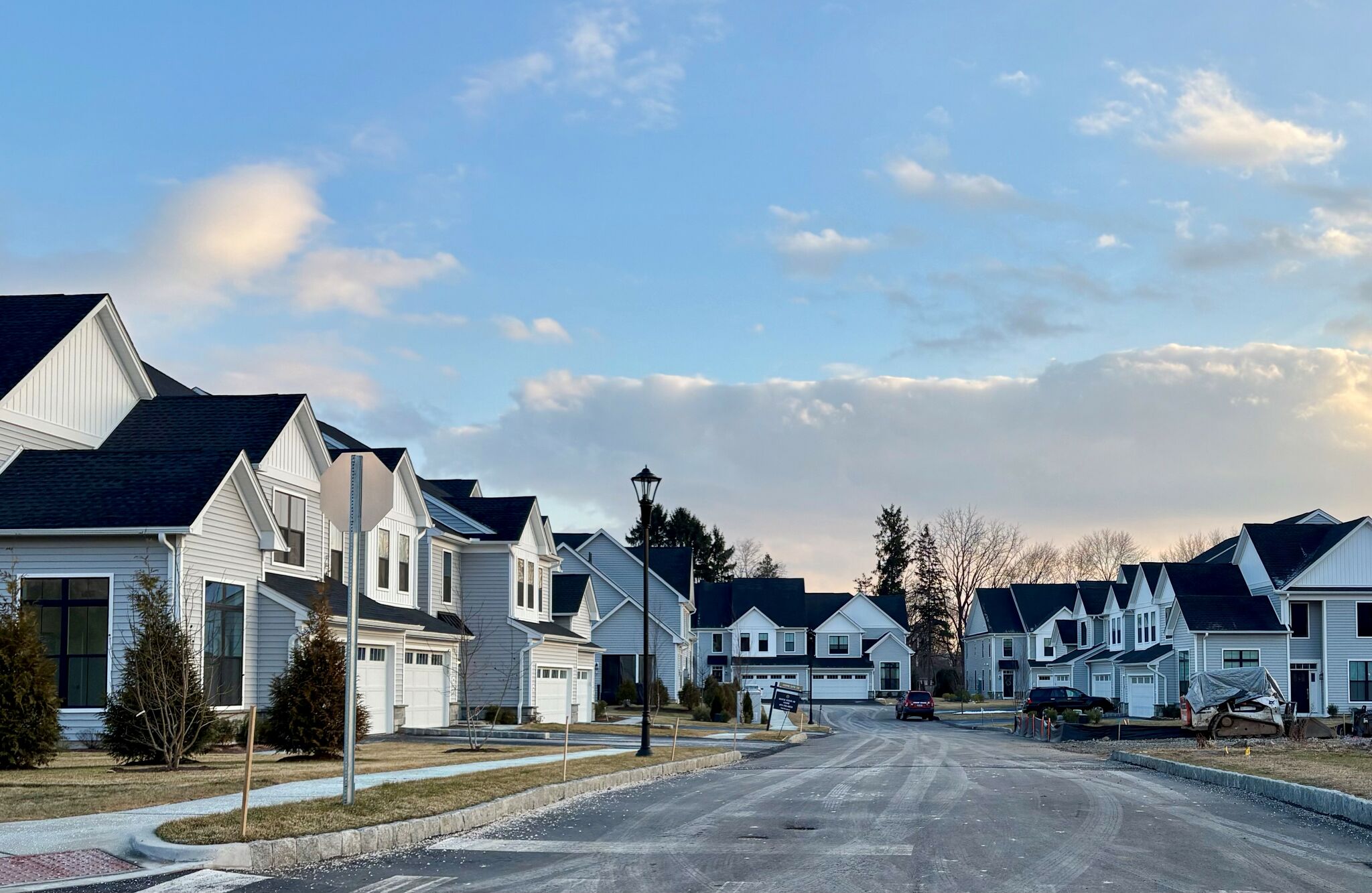 Meet Marilla: Cat Tales’ adoptable pet of the week