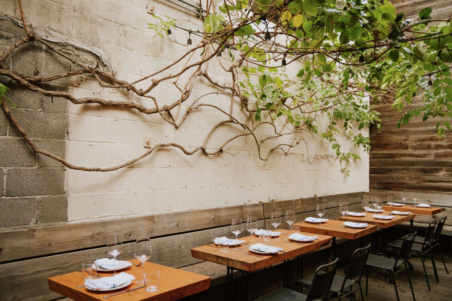 Oakland seafood restaurant Sirene opens from owners of SF's the Morris