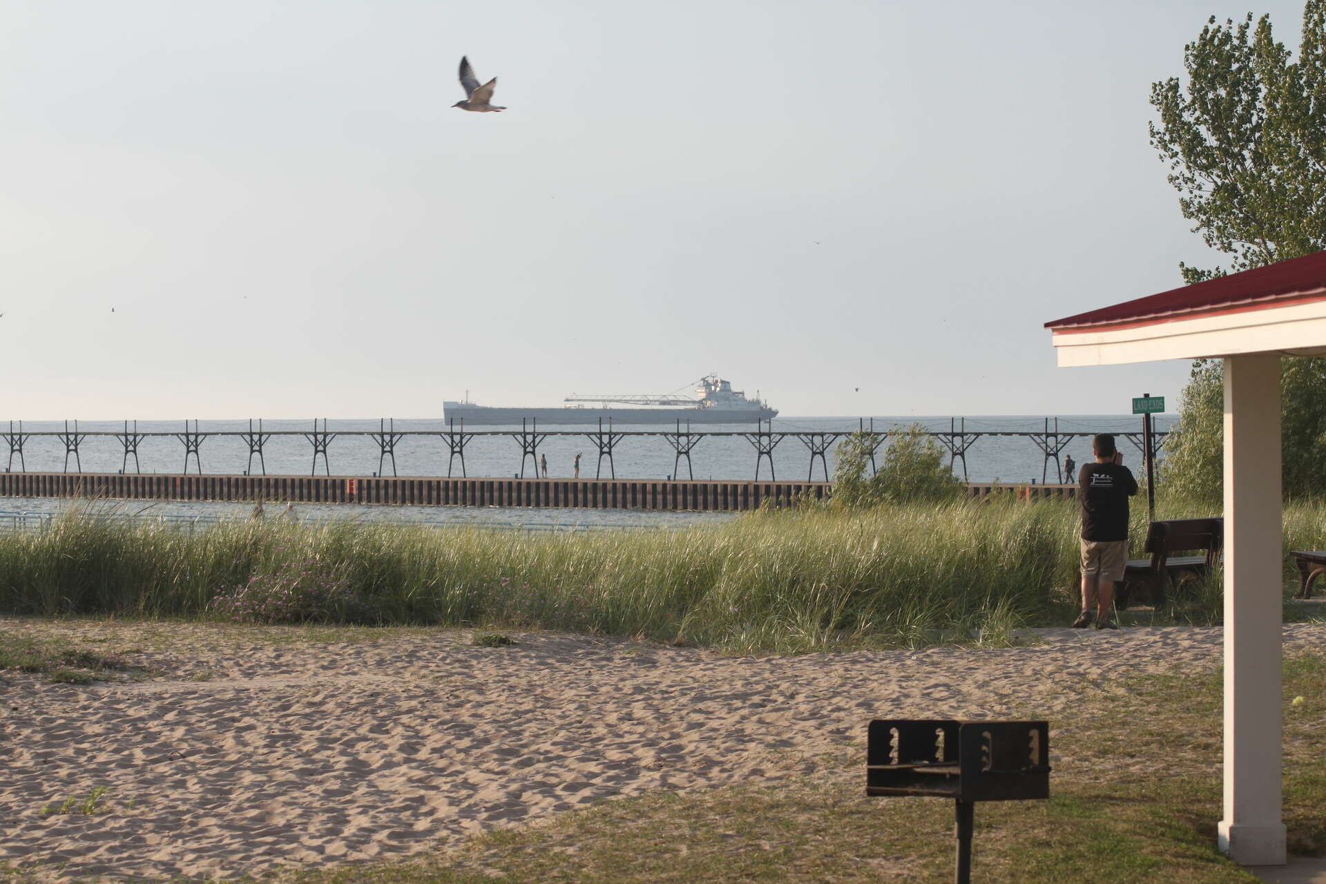 First Street Beach nominated for ‘Best Beach in Michigan’ again