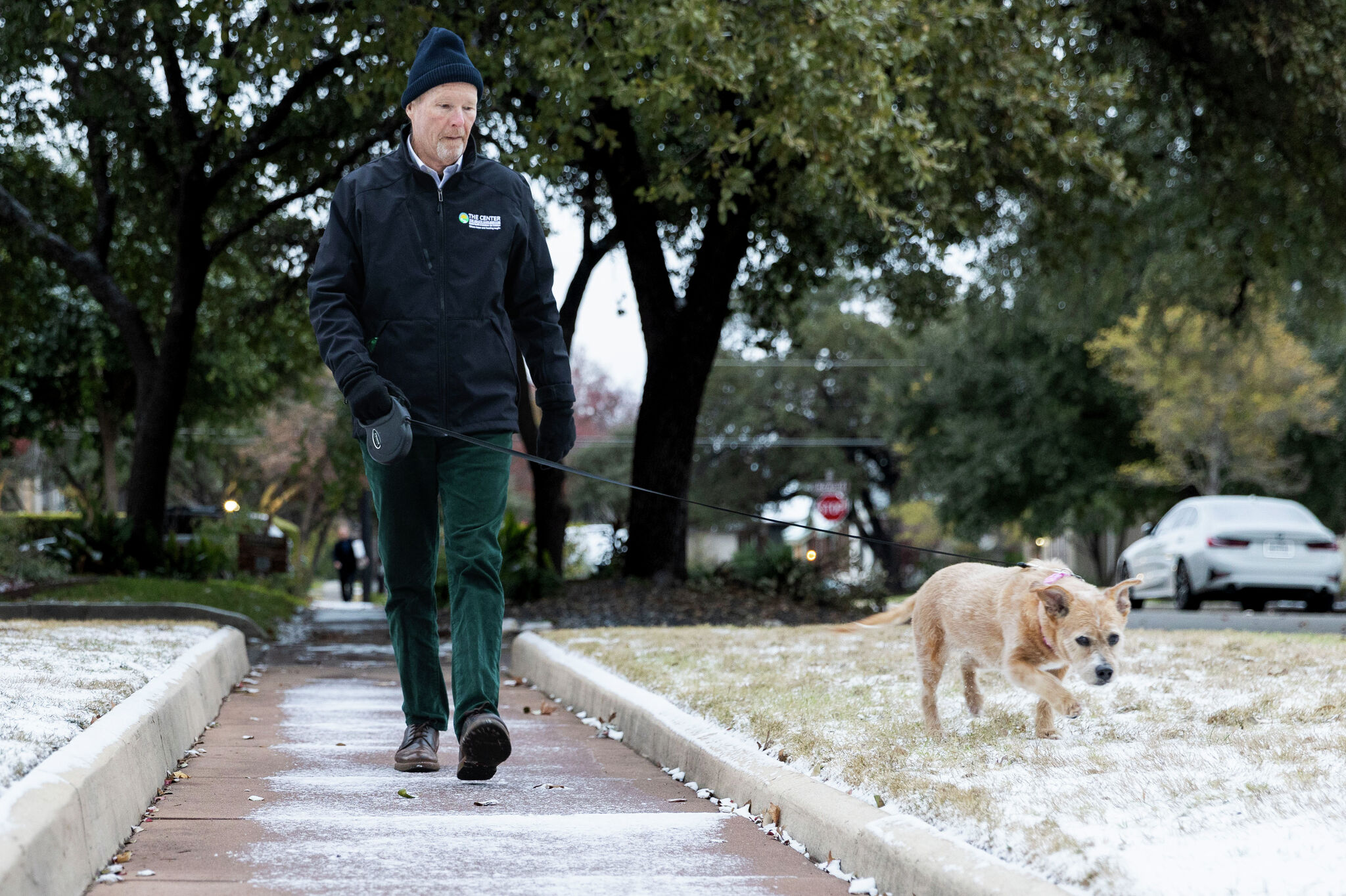 Keep dogs safe when going outdoors during winter blast